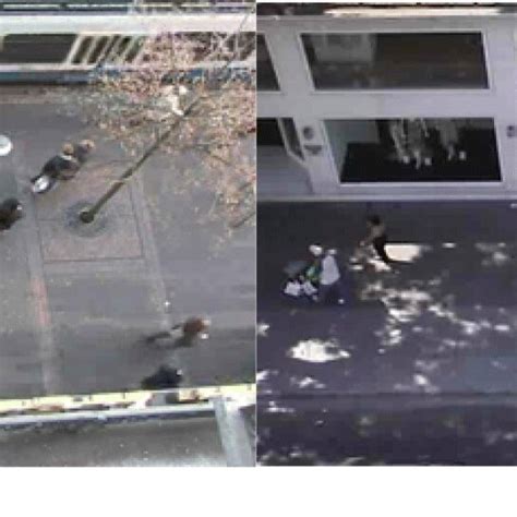 Eth And Ucy Dataset A Eth B Ucy Download Scientific Diagram