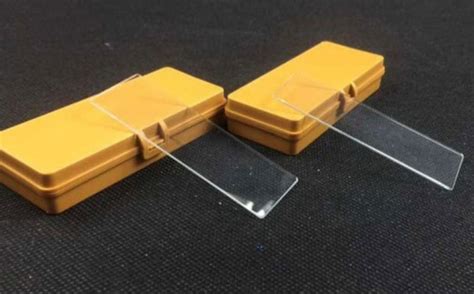 Stage Micrometer Basic 1mm001mm School Science Equipment