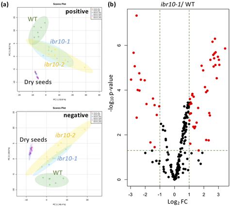 Lc Qtof Ms Lipidomic Analysis In Ibr10 Mutants A Pca Plot For The Download Scientific
