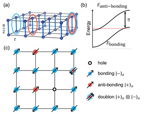 Self Doped Molecular Mott Insulator From The Bilayer Hubbard Model A Download Scientific