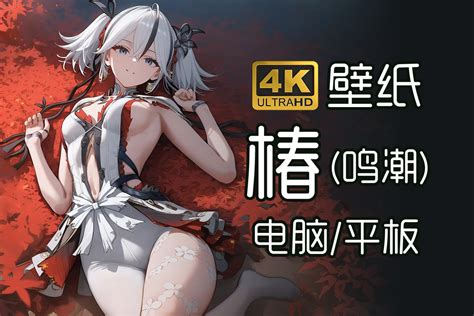 鸣潮椿 4k壁纸分享 知乎 鸣潮椿 4k壁纸分享 知乎