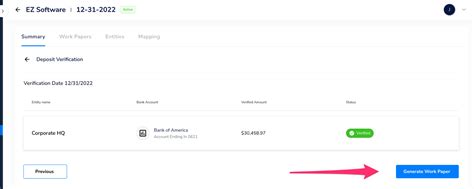 Generating And Understanding The Deposit Verification Work Paper