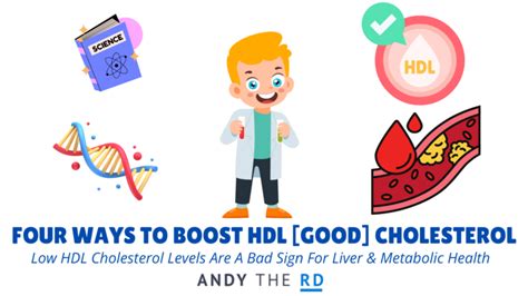 How To Increase Your Good [hdl] Cholesterol 4 Tips Healthtost