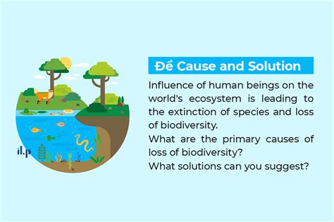 Rất Hay Mẹo Hay Top 10 Cách Viết Cause And Effect Essay Đầy Đủ Nhất