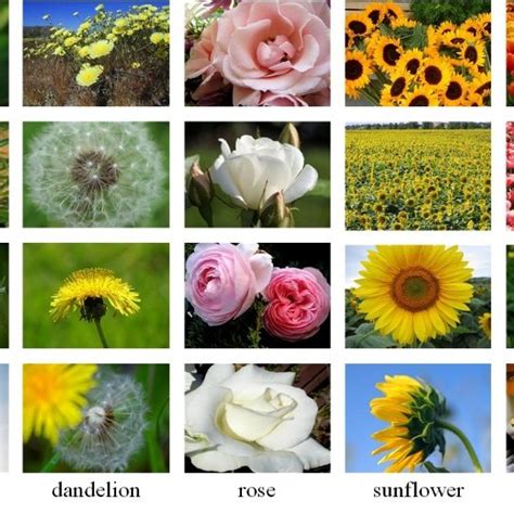 Genetic Tabu Search Algorithm Download Scientific Diagram