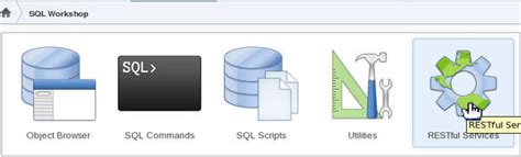 Creating And Using Restful Web Service In Application Express 42