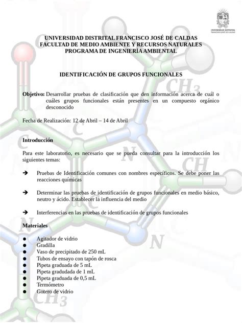 6 Identificación De Grupos Funcionales Descargar Gratis Pdf