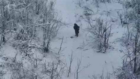 Recognition Object Detection Dataset And Pre Trained Model By Temp