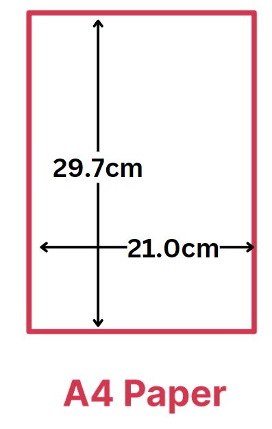 How To Measure Your Waist