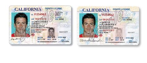 What Are Federal Limits On Drivers License At Caroline Edith Blog
