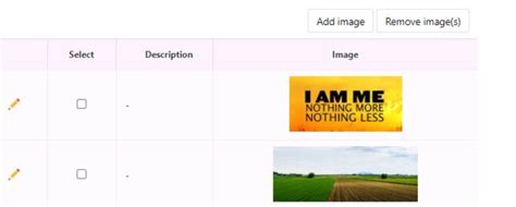 Oracle Apex Image In Report Is Not Updated On Region Refresh Stack
