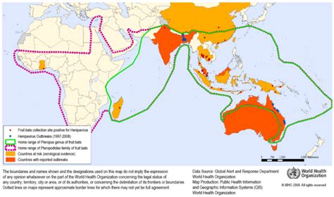 Nipah Virus Understanding The Enigmatic Menace The Sri Lankan Scientist