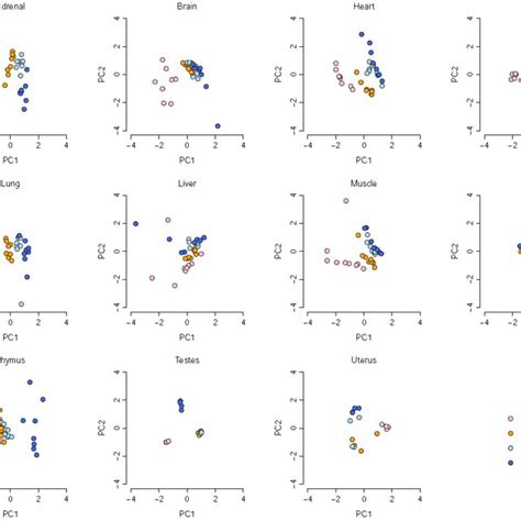 Developmental Stage Dependent Ion Channel Gene Expression PCA Download Scientific Diagram