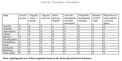 Solved Protist Phylogeny Assignment Taxa Alveoli Present 2