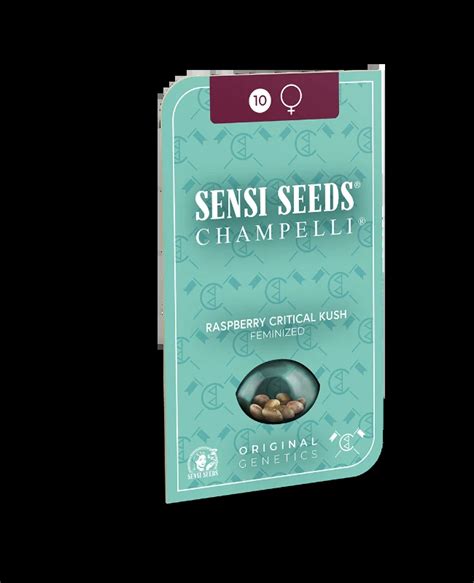 Raspberry Critical Kush Feminized Seeds Sensi Seeds Raspberry Critical Kush Feminized Seeds Sensi Seeds
