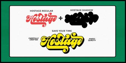 Hostage Script Font Webfont Desktop MyFonts