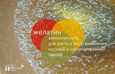 Мармелад. Польза и вред для организма. Состав