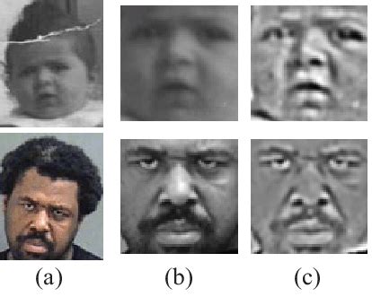 Examples Of Face Preprocessing A Input Images With Pose Variations