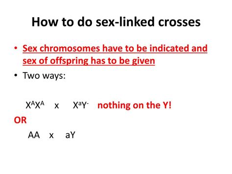 Ppt The Chromosomal Theory Of Inheritance Powerpoint Presentation Free Download Id2343440