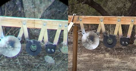 Tomcat Airguns Tries Firebird 65 Bio Targets Firebird Targets