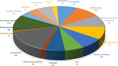 Global Promoter Cpg Island Microarray Analysis In Skeletal Muscle