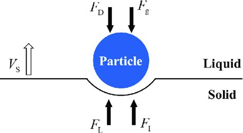 Sketch Of The Forces Acting On A Particle In The Vicinity Of The