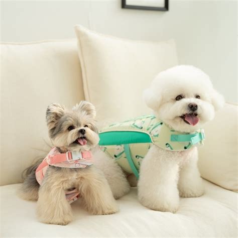 리토가토 스윙하트 강아지 구명조끼 그린 페오펫몰 리토가토 스윙하트 강아지 구명조끼 그린 페오펫몰