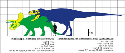 Dinosaur Size Comparison Chart Png Image