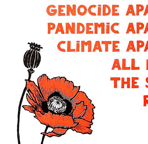 Entangled Roots Press Same Root Graphic