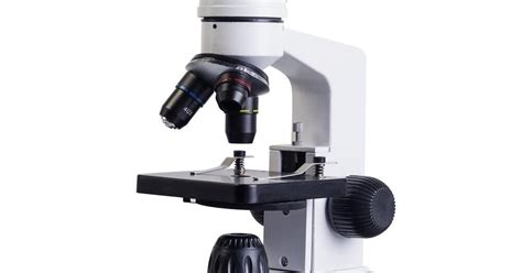 Практична робота № 1 Будова світлового мікроскопа і правила роботи з ним Презентація Біологія