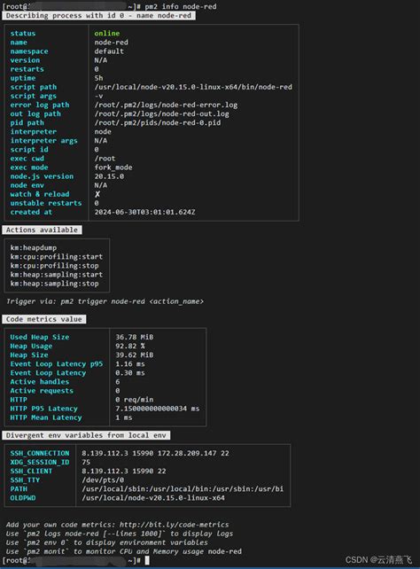 linux安装node red并实现后台运行及开机启动 csdn博客