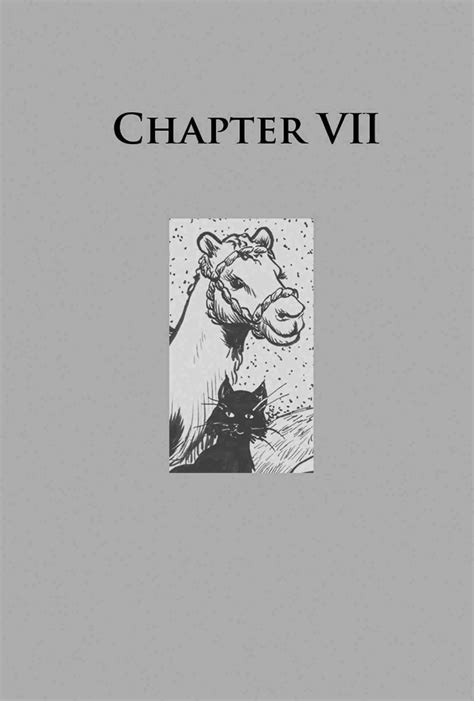 Chapter 7 Cover Age Of Night