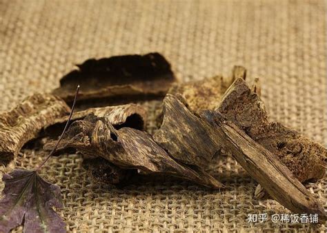 越南芽庄沉香 知乎