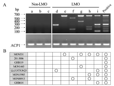 Development Of A Multiplex Pcr Assay To Monitor Living Modified Cottons In South Korea