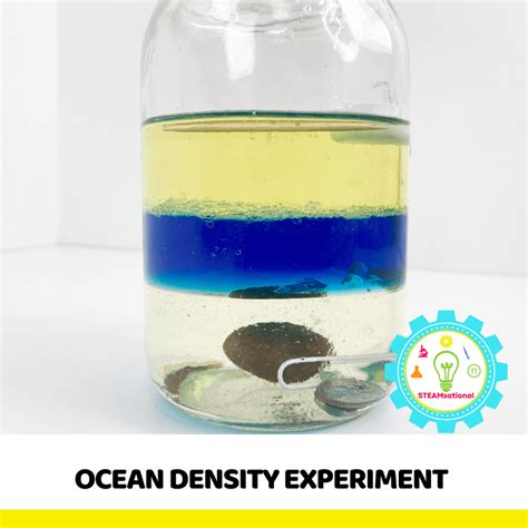 Density Experiment
