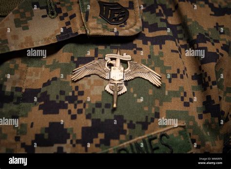 A Recruiter With The Us Marine Corps Forces Special Operations