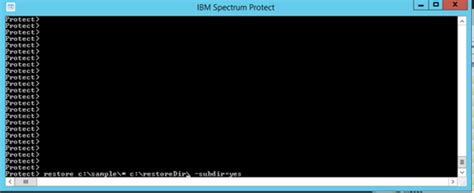 back up a client to dell ecs configuring ibm spectrum protect to use dell ecs dell