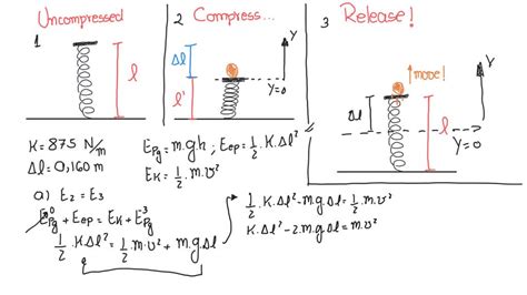 Ii A Vertical Spring Ignore Its Mass Whose Spring Constant Is 875