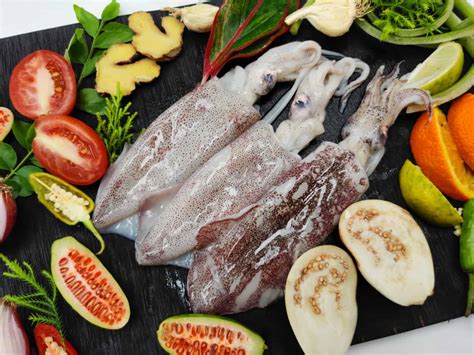 Giant Squid Fillets Giant Squid Tentacles Wings Suppliers Exporters