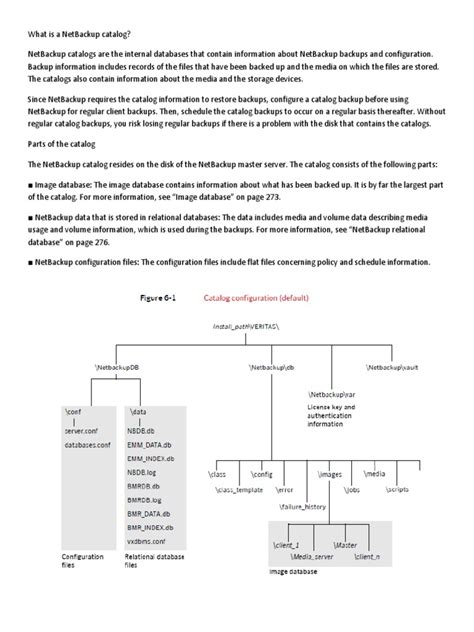 Nbu Catalog Backup File System