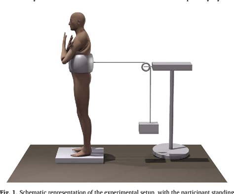 Automatic Postural Responses Are Generated According To Feet