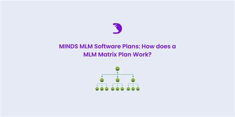 How Does A Matrix Plan Mlm Work