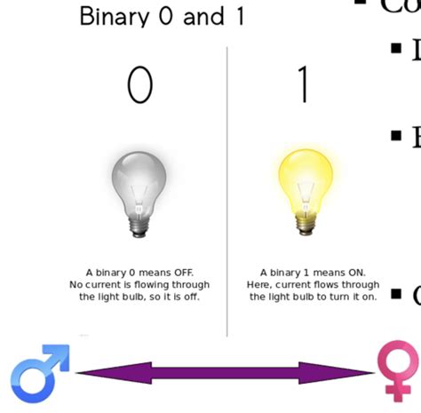 Gender Flashcards Quizlet