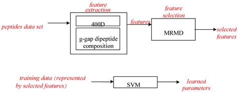 A Novel Hybrid Sequence Based Model For Identifying Anticancer Peptides