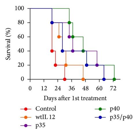 Location Of The Tumor Targeting Sequence Affects The Induced Antitumor