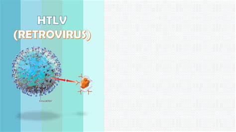 Htlv Retrovirus Doctorteco Udocz