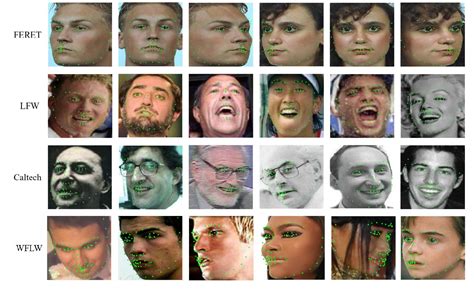 Figure 1 From Robust Facial Landmark Detection Via Heatmap Offset Regression Semantic Scholar