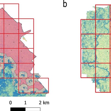 Selection Of Sampling Plots Black Dots In A Northern Most Forest In Download Scientific