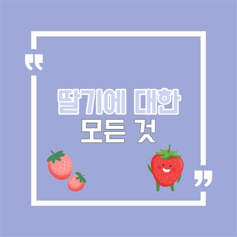 딸기의 모든 것 딸기 품종 설향부터 아리향까지 고르는법 세척법 — 엘티딩의 블로그