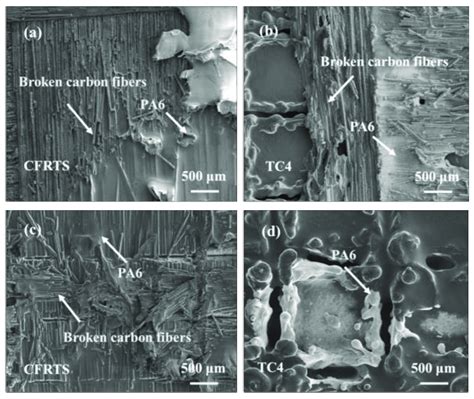 Ab Fracture Surface Morphology Of Sample 3 Cd Fracture Surface
